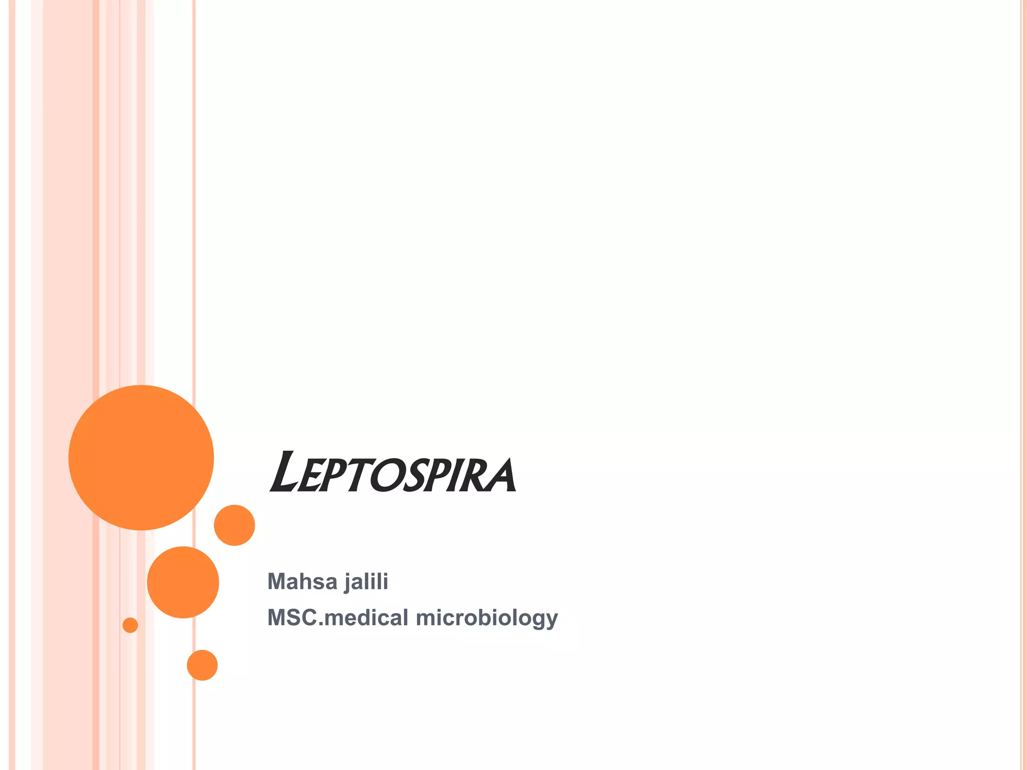 Leptospira | PPTX