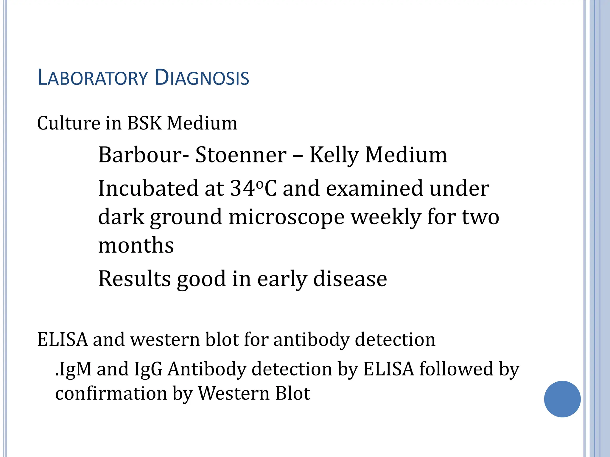 Leptospirosis and Borrelia infection.ppt