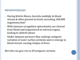 Leptospirosis and Borrelia infection.ppt