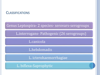Leptospirosis and Borrelia infection.ppt
