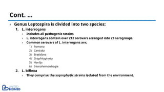 Leptospira Infection in Dogs_Complete Review | PPTX