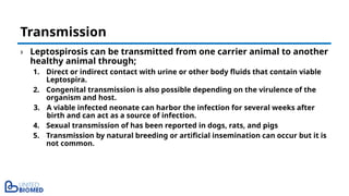 Leptospira Infection in Dogs_Complete Review | PPT