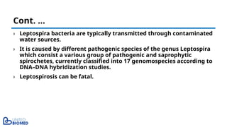 Leptospira Infection in Dogs_Complete Review | PPTX