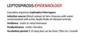 leptospira powerpoint presentation in deatils | PPTX