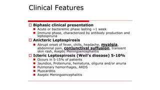 leptospira powerpoint presentation in deatils | PPT