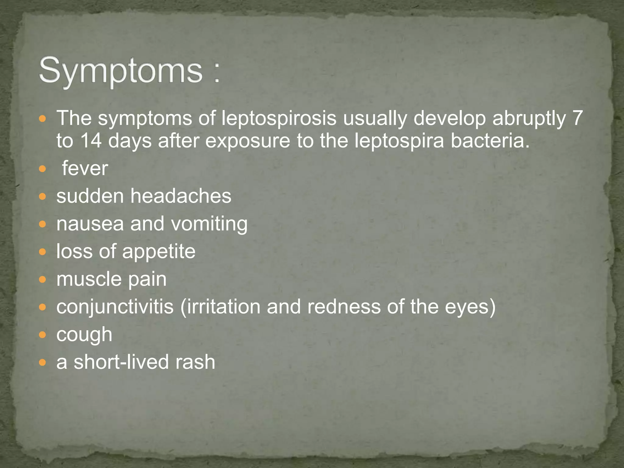 Leptospira | PPTX