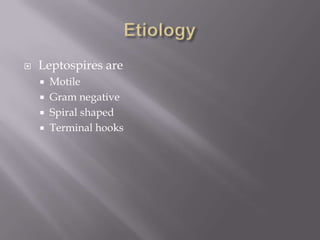Leptospiroses | PPTX