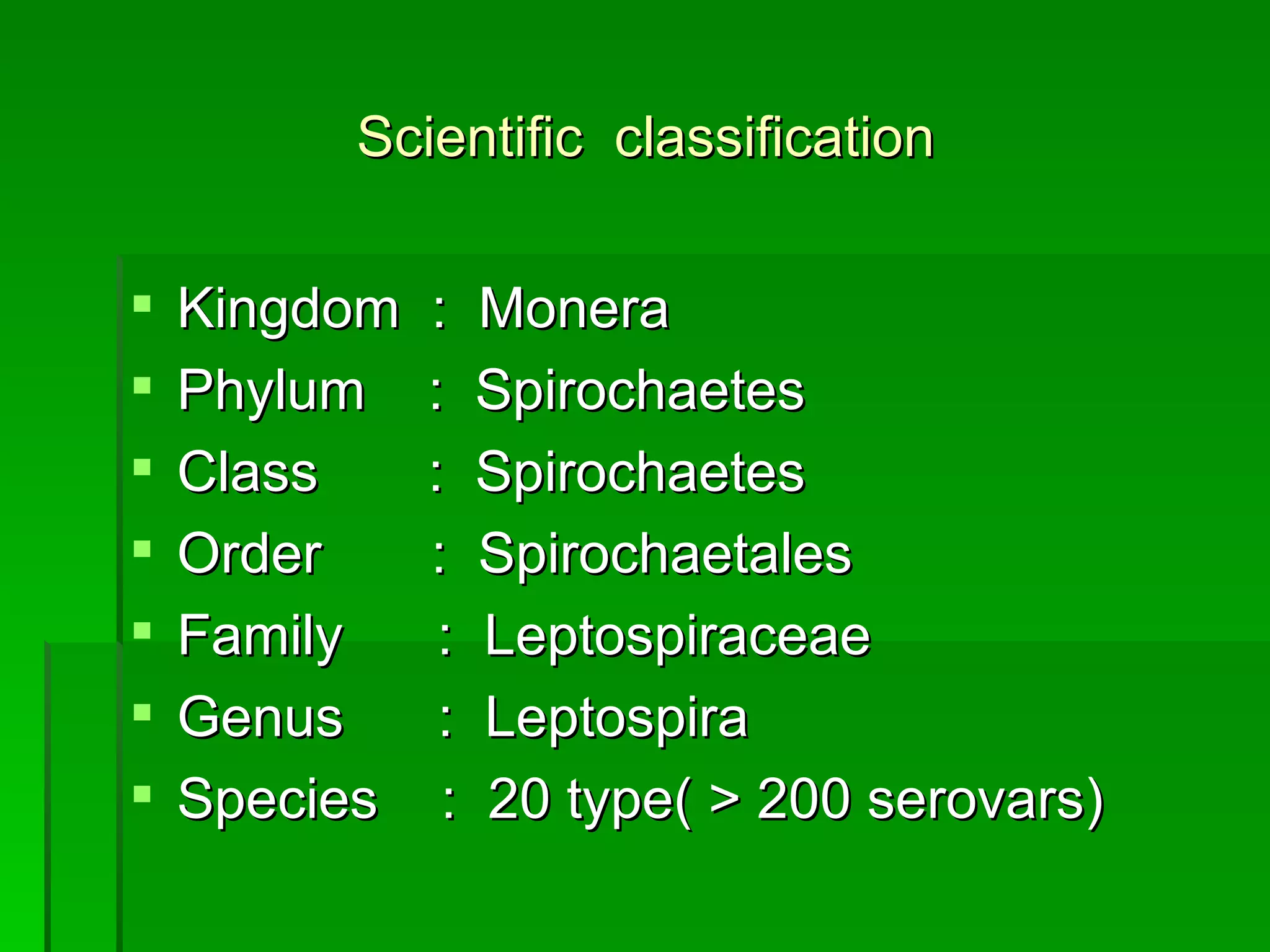 Leptospirosis | PPT