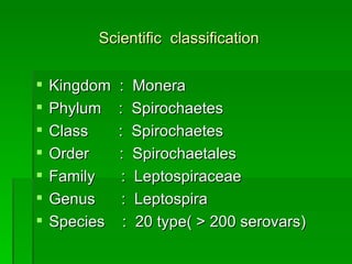 Leptospirosis | PPT