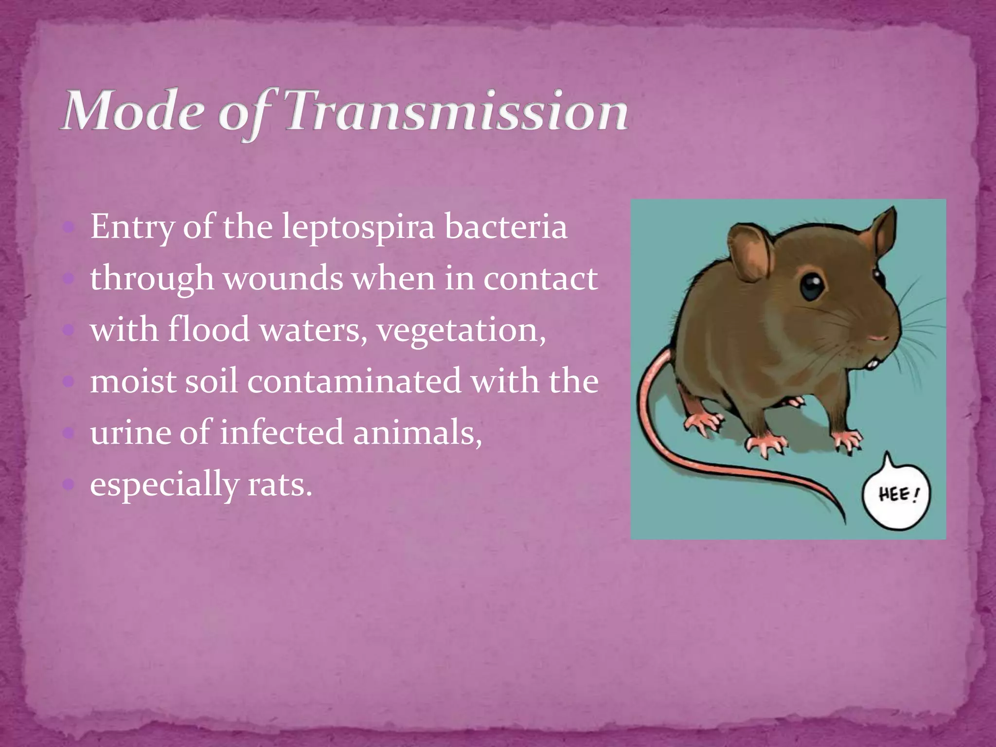 Leptospirosis | PPTX