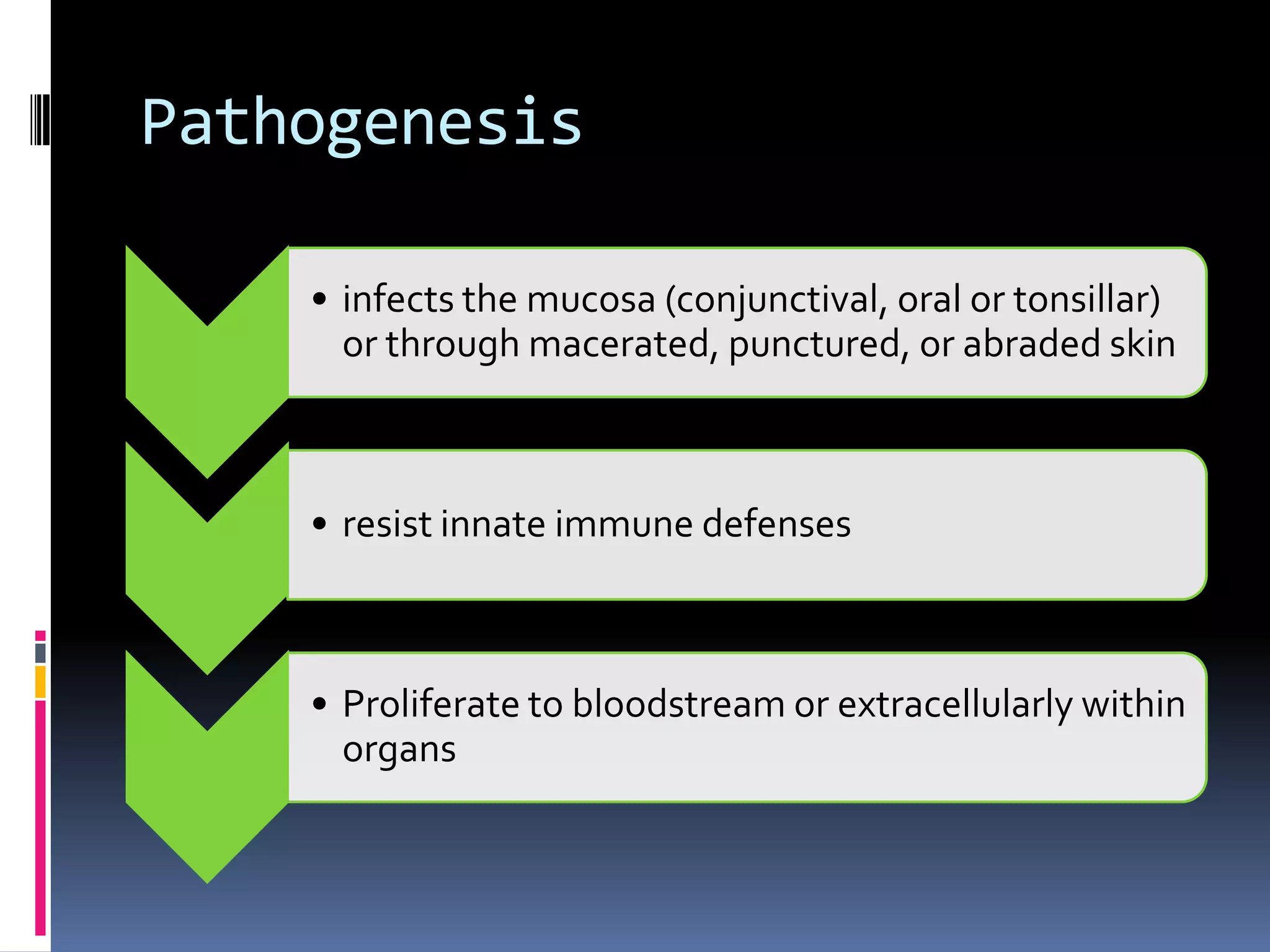 Leptospirosis Clinical Manifestations, Diagnosis, Treatment and ...