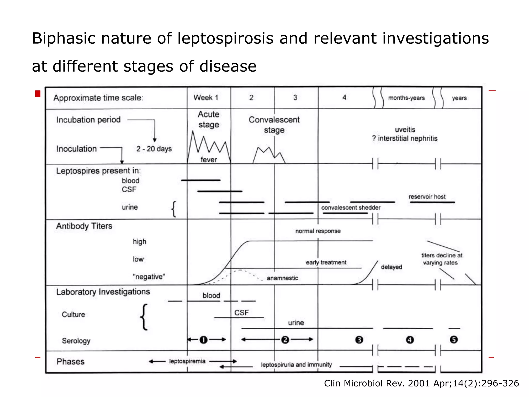 Leptospirosis | PPTX