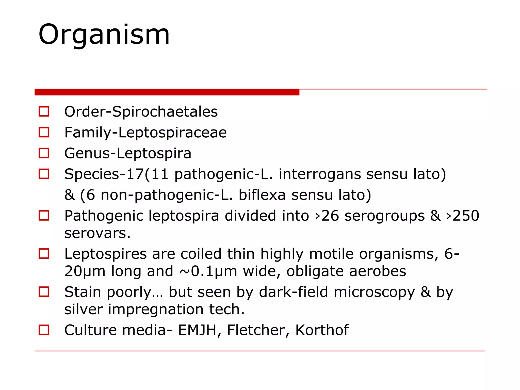 Leptospirosis | PPTX