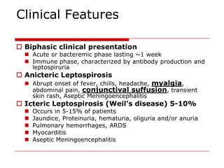 Leptospirosis | PPTX