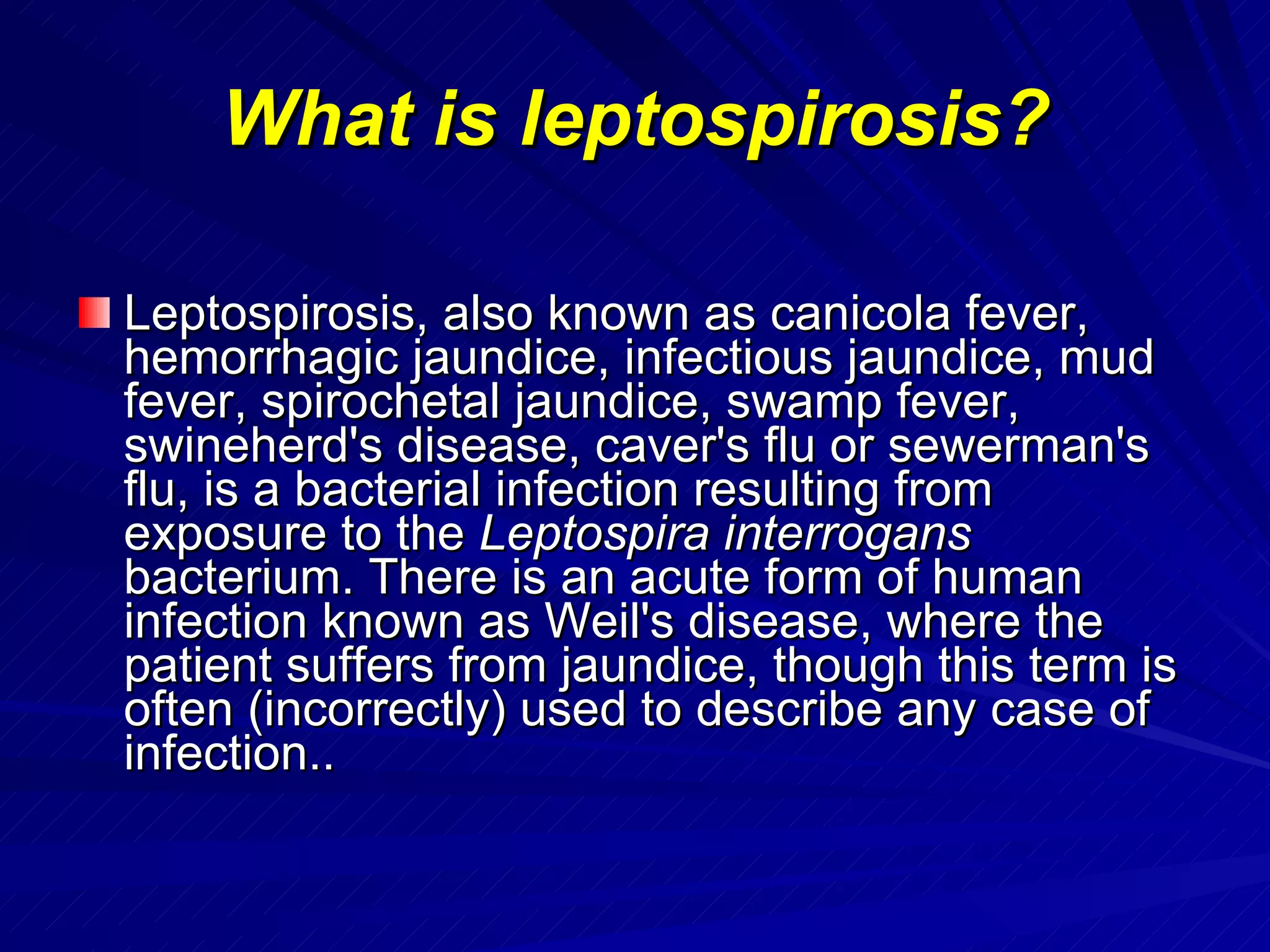 leptospirosis-1216524917579477-9 (2).pdf
