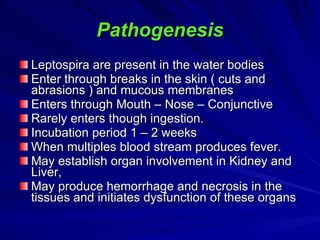 leptospirosis-1216524917579477-9 (2).pdf | Infectious Diseases ...