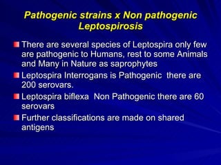 leptospirosis-1216524917579477-9 (2).pdf | Infectious Diseases ...