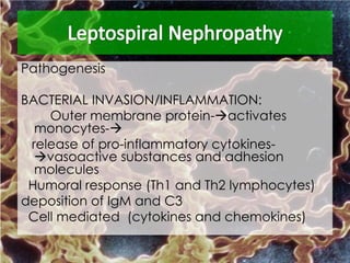 Leptospirosis | PPT