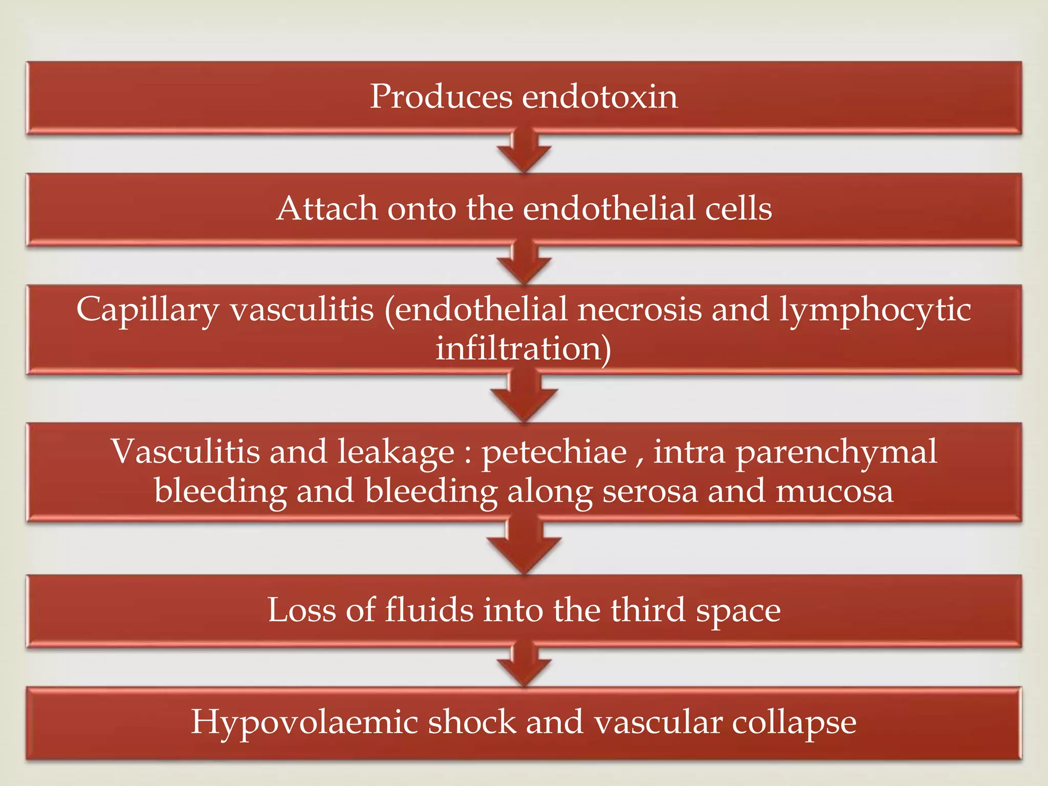 Leptospirosis : An Overview | PPTX