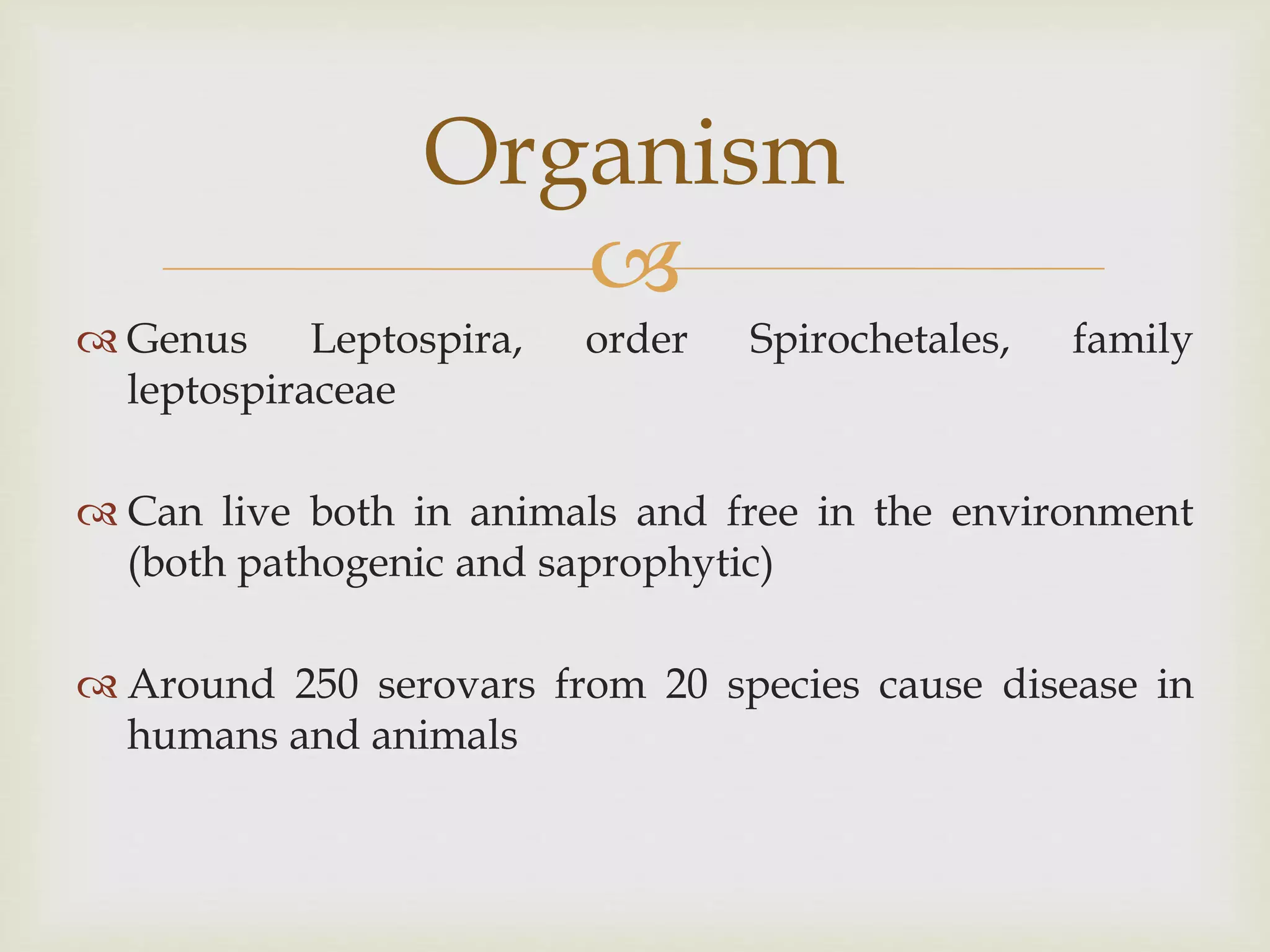 Leptospirosis : An Overview | PPTX