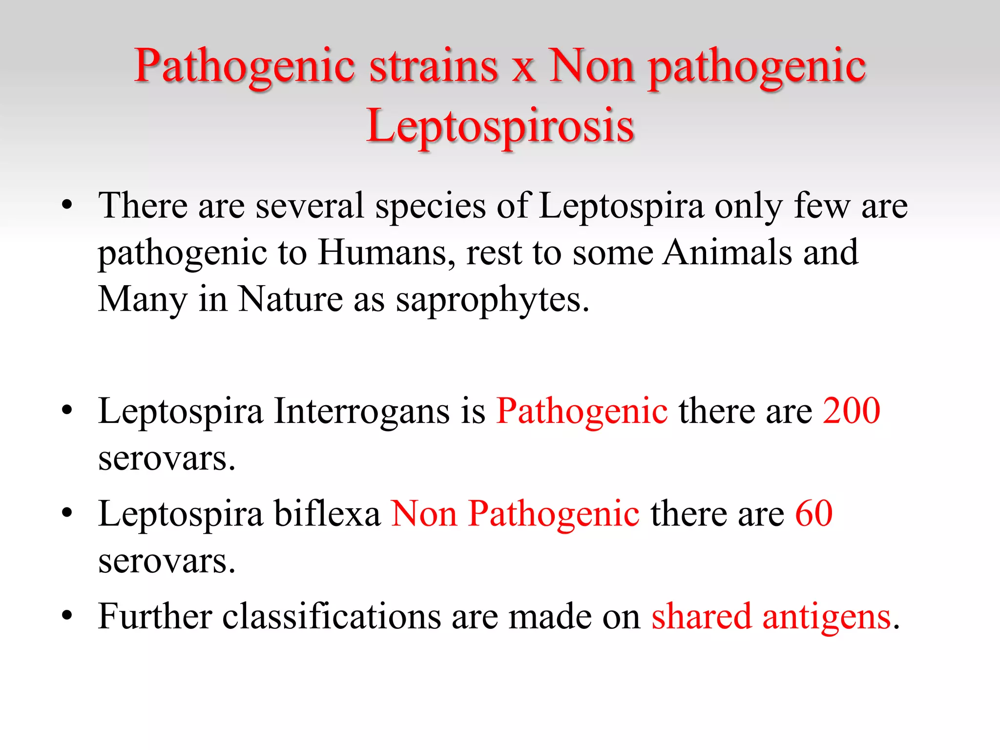 Leptospirosis | PDF