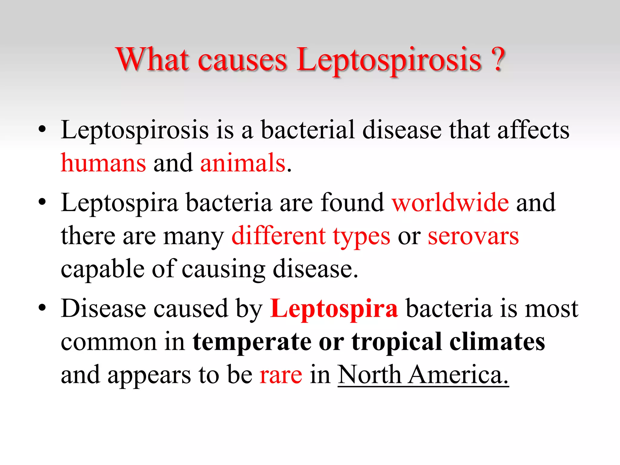 Leptospirosis | PDF