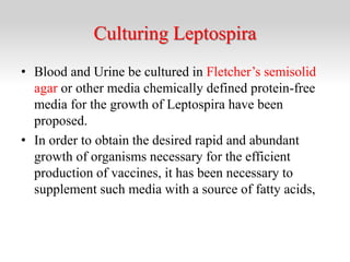 Leptospirosis | PDF