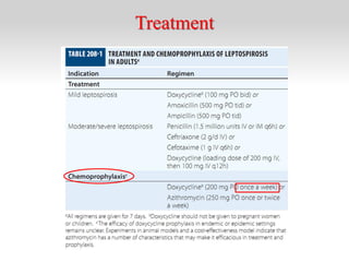 Leptospirosis | PDF | Infectious Diseases | Diseases and Conditions