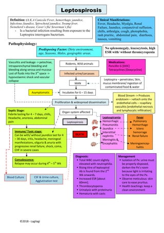 Pathophysiology of Leptospirosis | PDF
