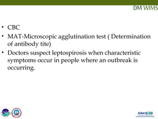 Leptospirosis | PPT