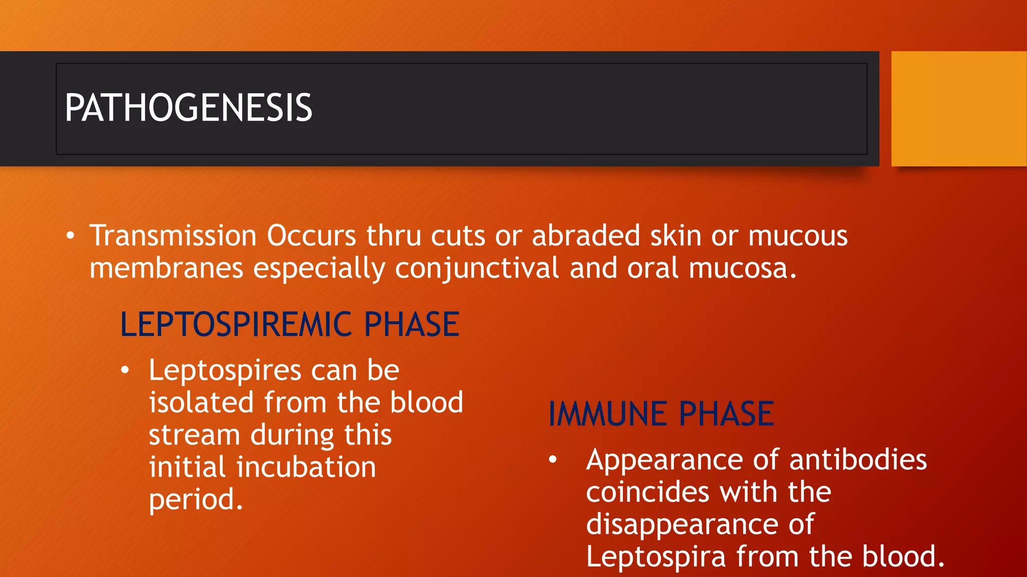 Leptospirosis | PPTX