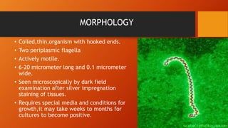 Leptospirosis | PPTX