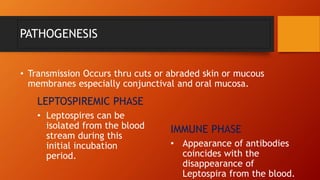 Leptospirosis | PPT