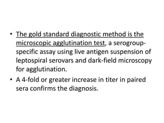 Leptospirosis | PPTX