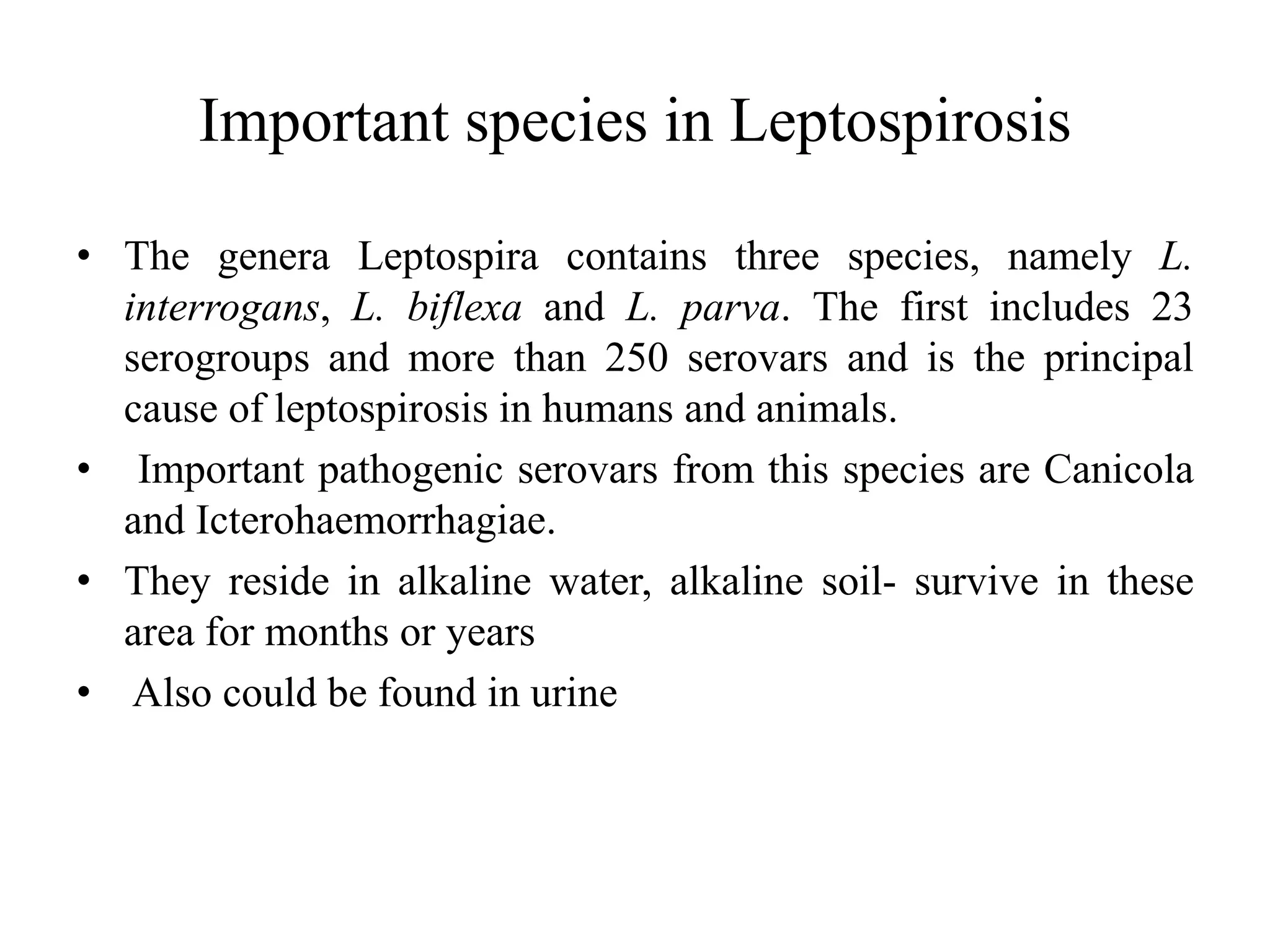 Leptospirosis | PPTX