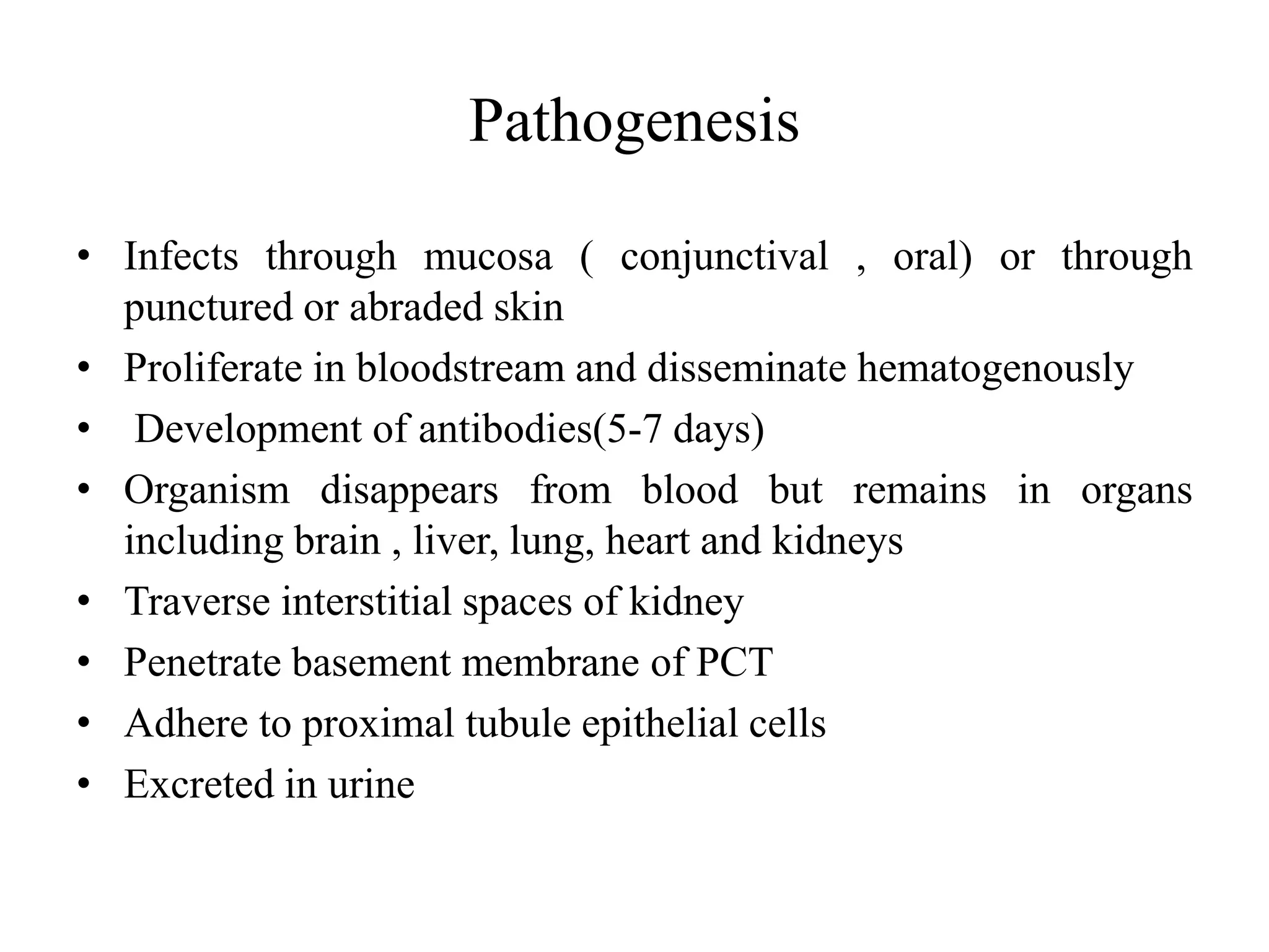 Leptospirosis | PPTX