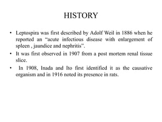 Leptospirosis | PPTX
