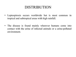Leptospirosis | PPTX