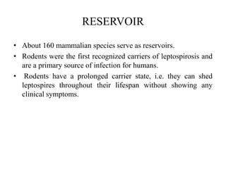 Leptospirosis | PPTX