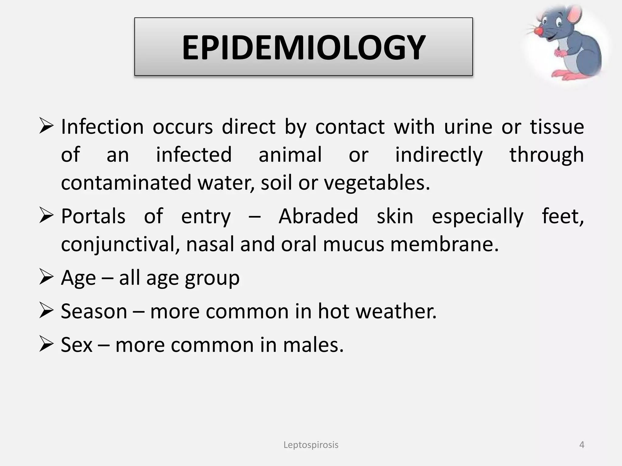 Leptospirosis Pptx