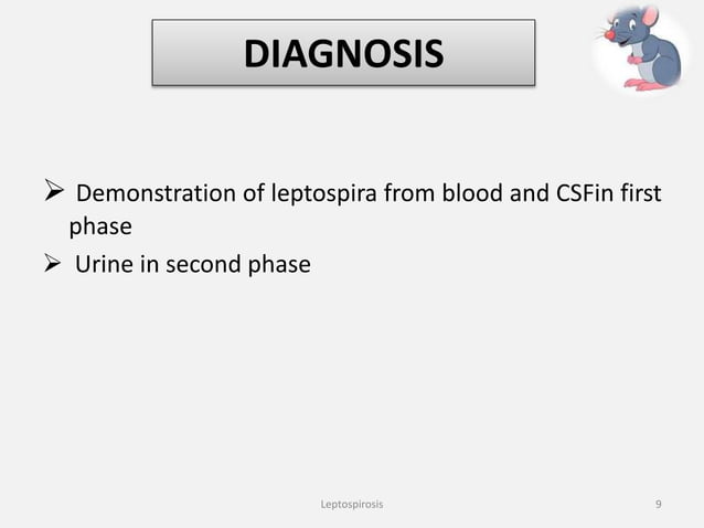Leptospirosis | PPT