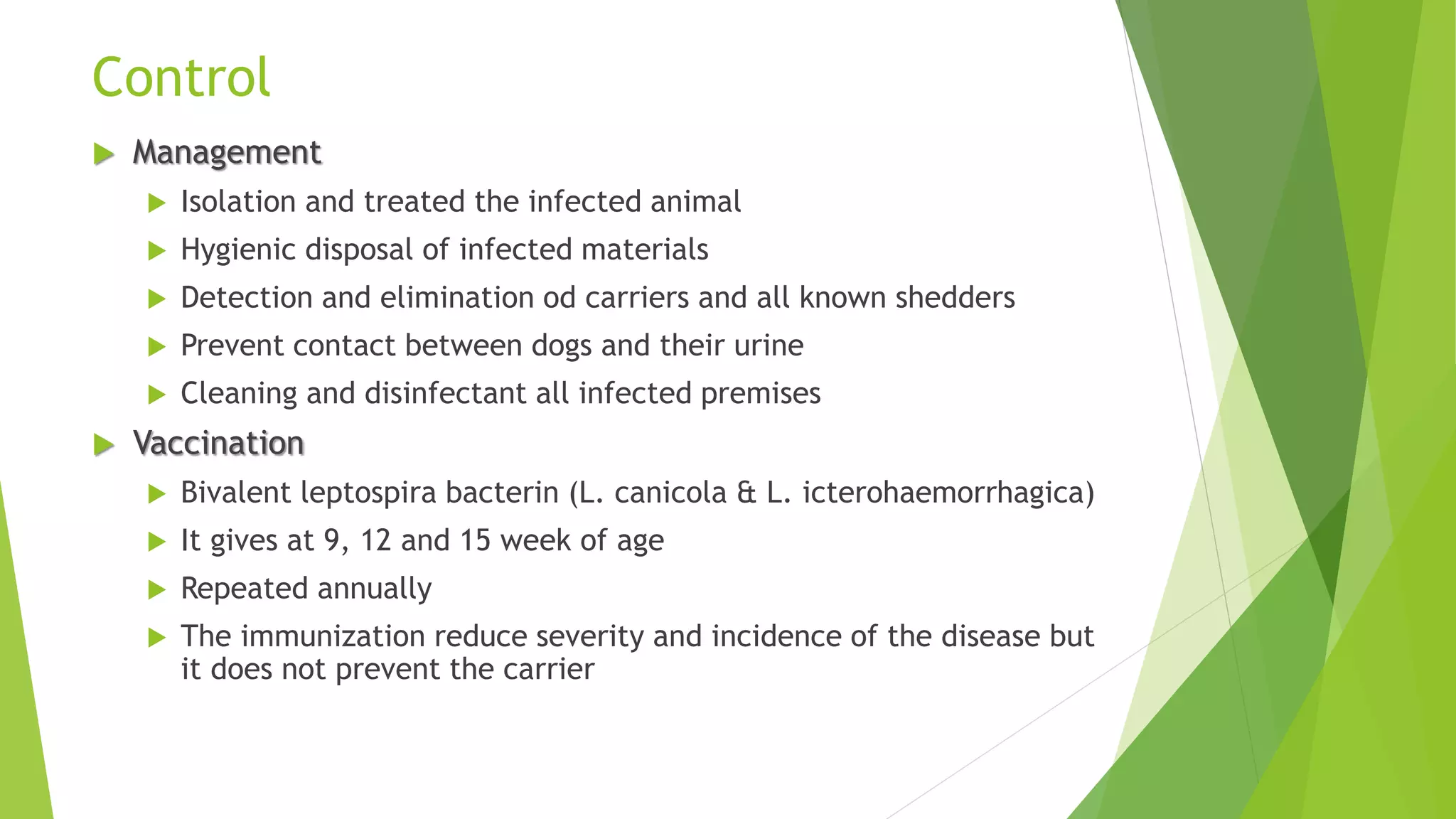 Leptospirosis.ppt