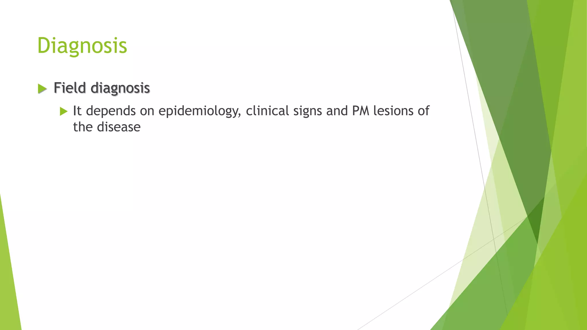 Leptospirosis.ppt