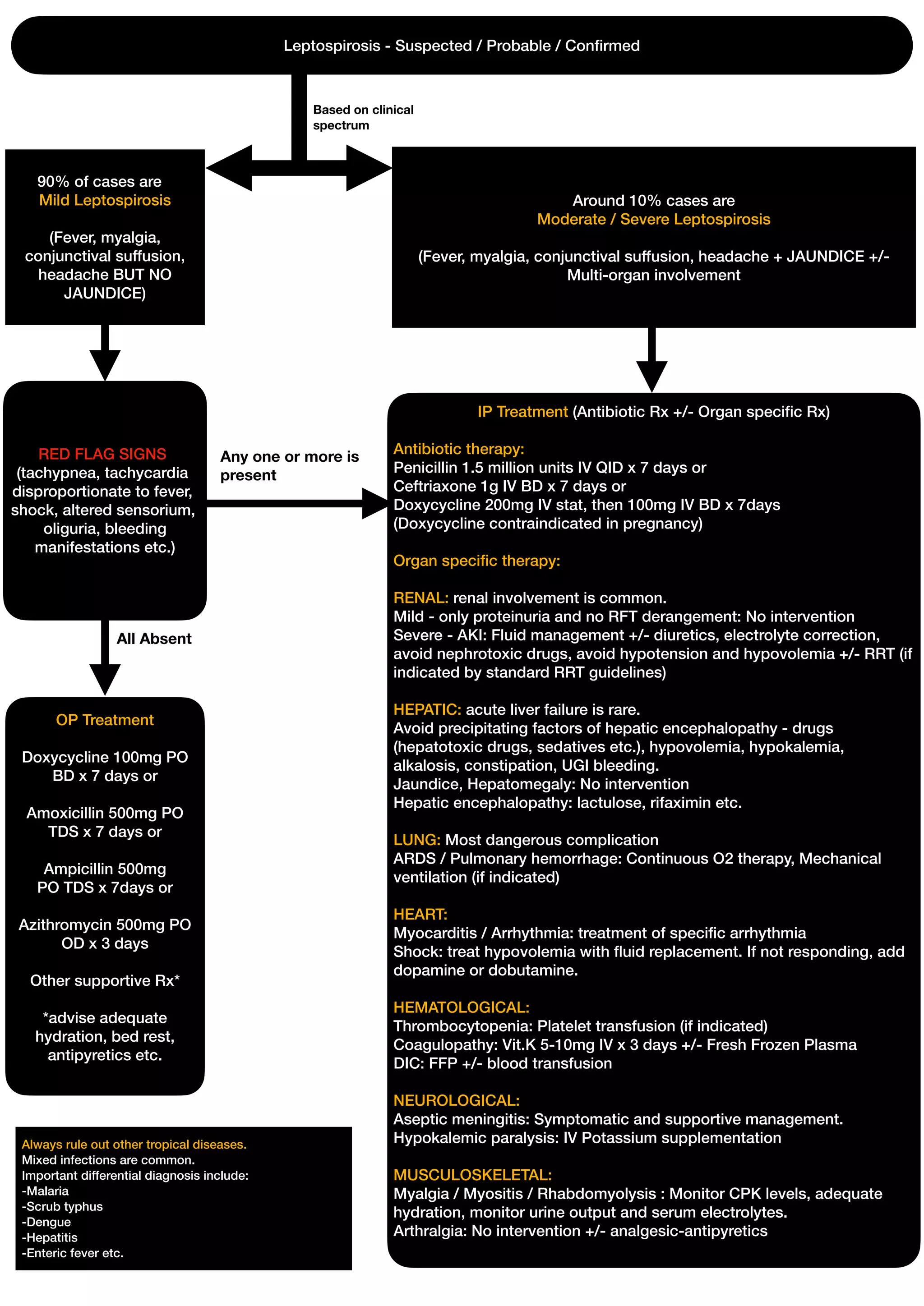 Leptospirosis Protocol for NABH accredition | PDF