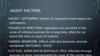 lEPTOSPIROSIS.pptx