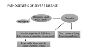 LEPTOSPIROSIS.pptx