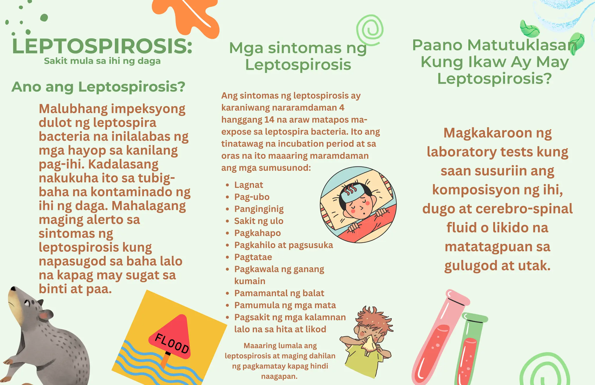 LEPTOSPIROSIS brochure tagalog versionnn | PDF
