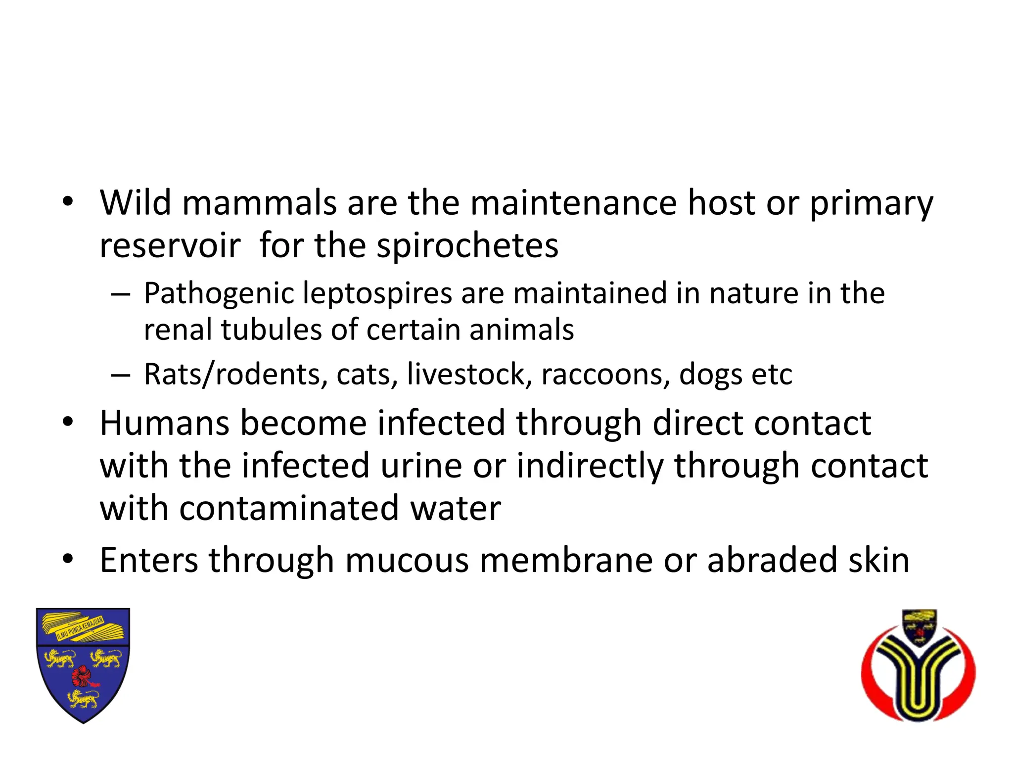 LEPTOSPIROSIS,ETHIOLOGY,SYMPTOMS,TREATMENT .pdf