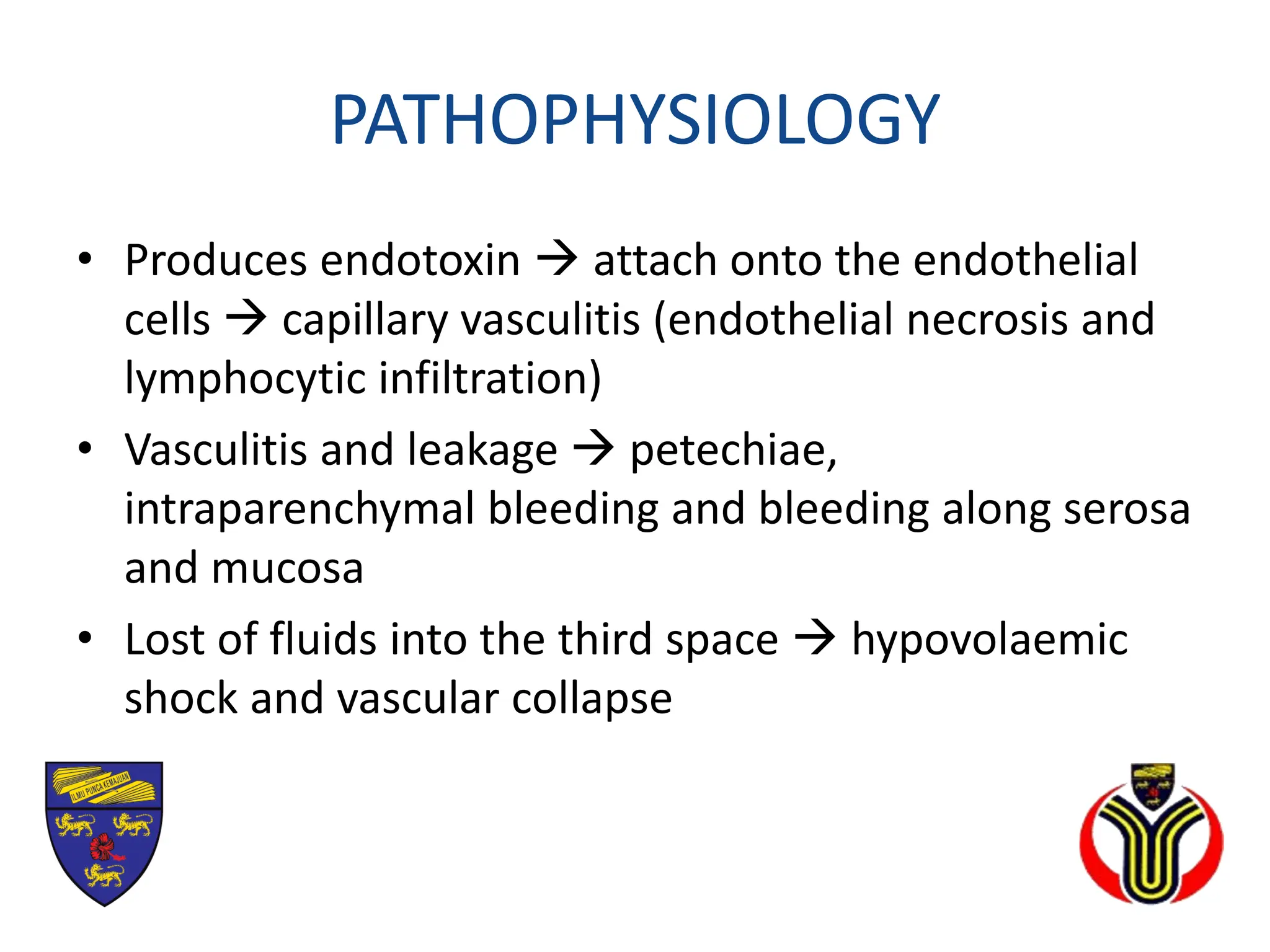 LEPTOSPIROSIS,ETHIOLOGY,SYMPTOMS,TREATMENT .pdf