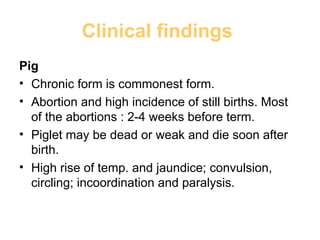 Leptospirosis in animals: Etiology to Control.ppt